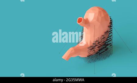 Illustration of human stomach with faceted low-poly geometry effect ...