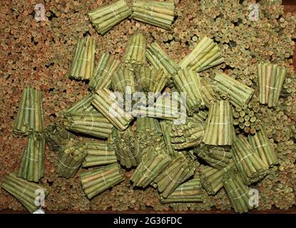 Beedi production in village; village lifestyle; beedi tobacco ...