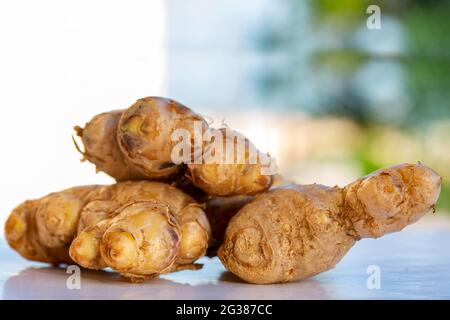 fresh ginger rhizome or roots with soil in a tray ready to plant ...