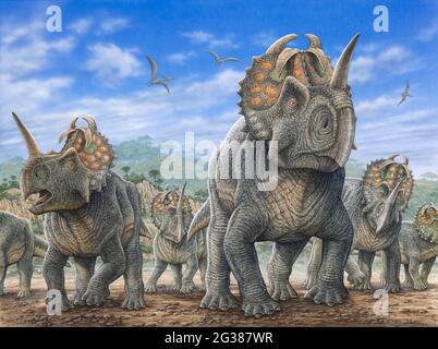 A Herd Of Centrosaurus Dinosaurs Stock Photo - Alamy