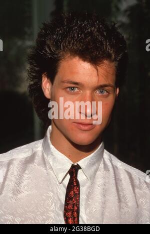 Bryan Genesse Circa 1980's Credit: Ralph Dominguez/MediaPunch Stock ...