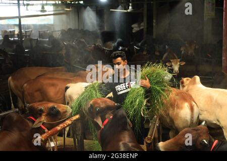 Dhaka, Bangladesh. 14th June, 2021. A Bangladeshi street child vendor ...