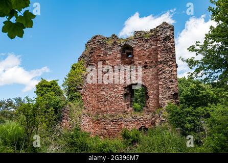 Ruined crumbling wall of 15th century fortified tower house or Scottish ...