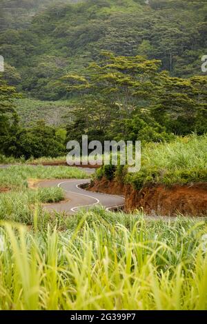 Fields and trees in Phoenix park, Dublin, Ireland Stock Photo - Alamy