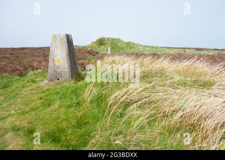 The remains of Sir Watkins Tower in Llandegla Llangollen Wales UK Stock ...