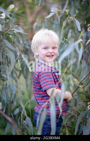 Adorable blonde Australian kid with a striped t-shirt collecting twigs ...