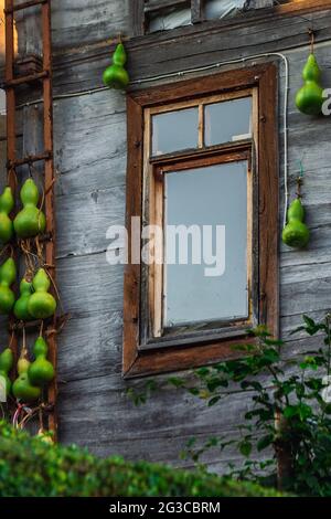 Tea field in Haremtepe or Ceceva Village at sunrise time. Rize tea ...