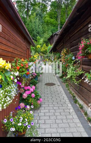 Entrance pathway between two houses in an italian village in the ...