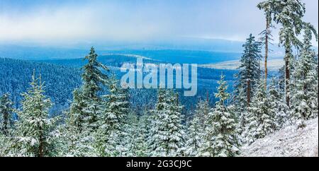 Snowed in icy fir trees and landscape at Brocken mountain in Harz ...