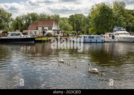 The Ferry House pub, Surlingham, Norfolk, England Stock Photo - Alamy
