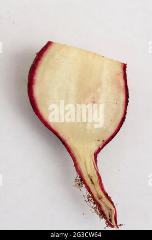 Cross section of a slice of radish Stock Photo - Alamy
