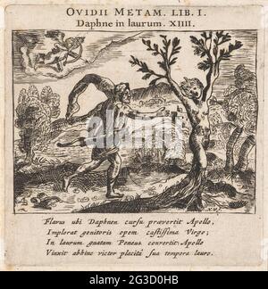Apollo and Daphne; Ovidii Metam. LIB. I Daphne A Phoebo Amata XIII ...