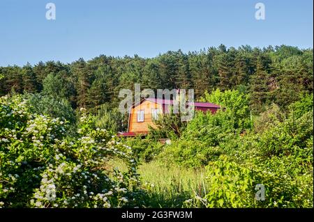 wooden rural house among dense trees, in summer Stock Photo - Alamy