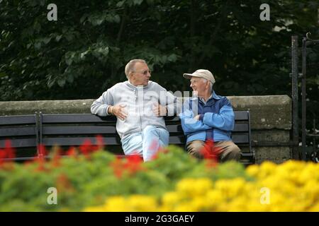 Elders in work on putting firewood in the forehead Stock Photo - Alamy