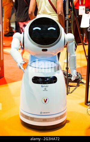 Cruzr the new generation of intelligent and autonomous service robots ...