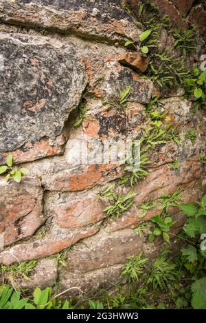 Hoffmann Kiln, Langcliffe, North Yorkshire Stock Photo - Alamy