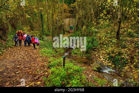 Vallcàrquera stream in autumn (El Figaró, Barcelona, Catalonia, Spain ...