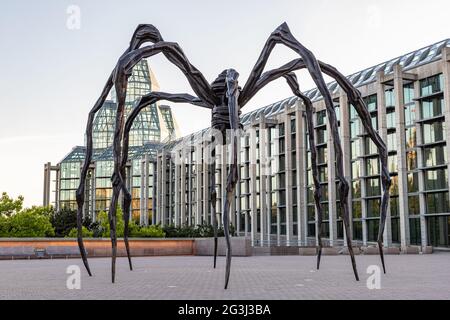 Giant Spider sculpture Maman at the National Gallery of Canada in ...