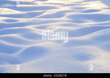 snow cover the ground, snow texture, shadows on the snow, plants under the snow, winter in ...
