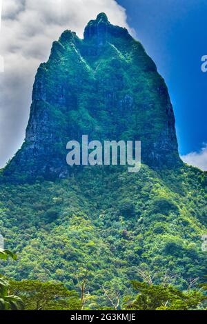 Colorful Mount Tohivea Tohiea Highest Mountain Volanic Peak on Moorea ...