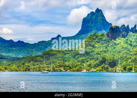 Colorful Cook's Bay Sailboats Mount Tohivea Highest Mountain Moorea ...