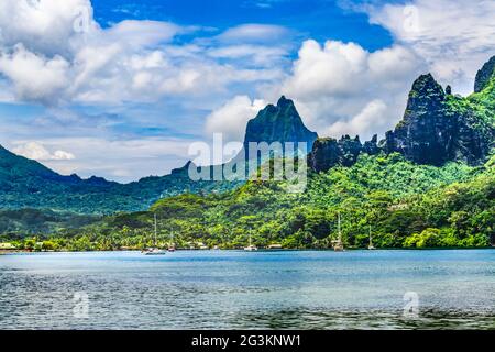 Colorful Cook's Bay Sailboats Mount Tohivea Highest Mountain Moorea ...