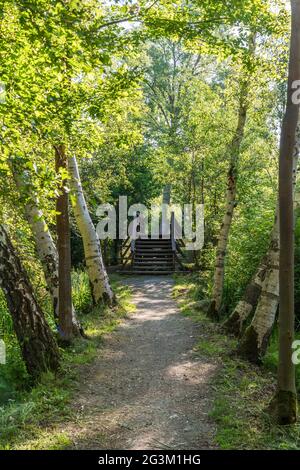 Spring in the Spree forest (Spreewald), paddlers near Burg in ...
