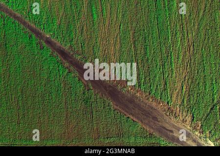 Destroyed agricultural crops by heavy rains view from the drone Stock ...