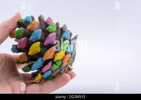 Pine cone in hand on a white background Stock Photo - Alamy