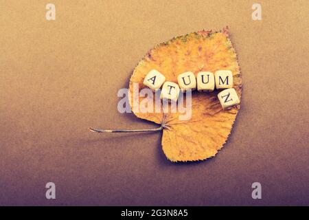 Autumn or fall composition or concept and word Autumn Stock Photo - Alamy