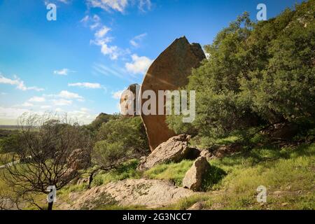 View of Pyramid Hill, Victoria Australia across sweeping paddock full ...