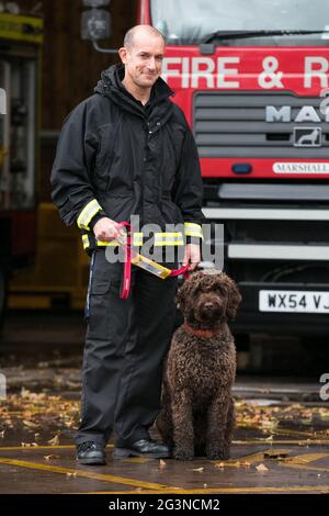 Digby Fire rescue dog Stock Photo - Alamy