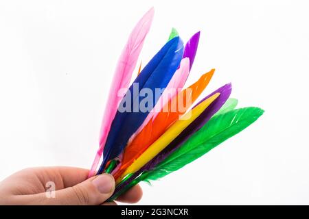 Studio shot photo of colored bird feathers as texture background Stock ...