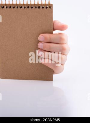 Hand holding Spiral blank notebook on a white background Stock Photo ...