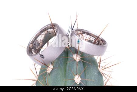 Romantic wedding ring on Cactus and white background Stock Photo - Alamy