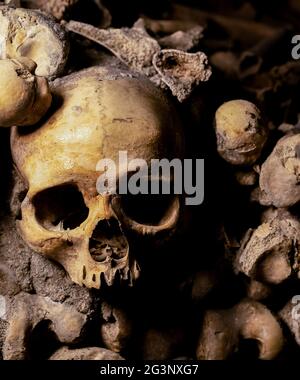 Scary skull close-up with bones. Halloween holiday Stock Photo - Alamy