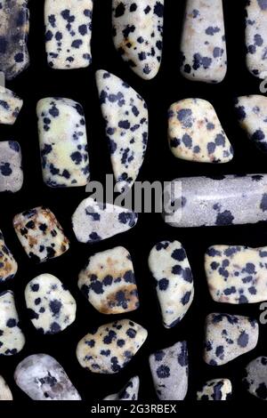 Dalmatian jasper rare jewel stones texture on black background Stock ...
