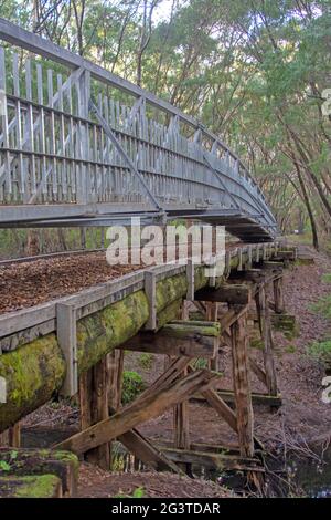 Bridge on the Wadandi Track near Margaret River Stock Photo - Alamy