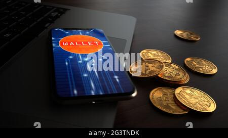 Bitcoin wallet with coins, crypto currency in the wallet,bitcoin coins ...