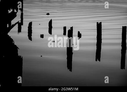 Silhouette of the remnants of old dock posts at a tranquil lake Stock ...