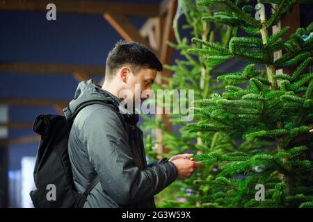 Young caucasian man chooses coniferous tree at Christmas market to ...
