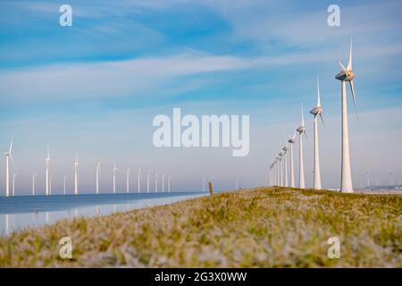 Windmill turbines at sea with a blue sky green energy concept Stock ...