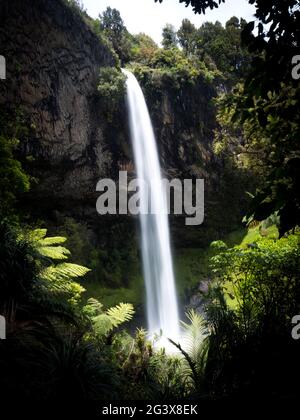The magical Waireinga Bridal Veil Falls in Raglan area Waikato region ...