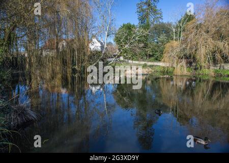 Village pond, Slindon, West Sussex, UK Stock Photo - Alamy