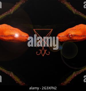 Magic symbol and black snakes. Sigil of Lucifer. Artistic work Stock ...