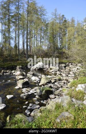 Water of Minnoch at the Glentrool visitor centre in the Galloway forest ...