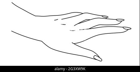 Hand design, female palm and manicured fingers Stock Vector Image & Art ...