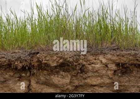 Soil cut due to landslide. Natural cut of soil with different layaers ...