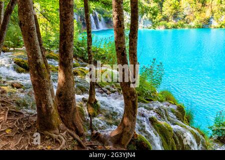 Incredibly beautiful landscape in National Park, Utah Stock Photo - Alamy