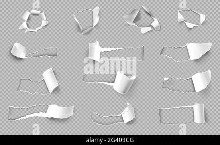 Ripped paper. Cut edges of white paper vector ripped lines realistic ...
